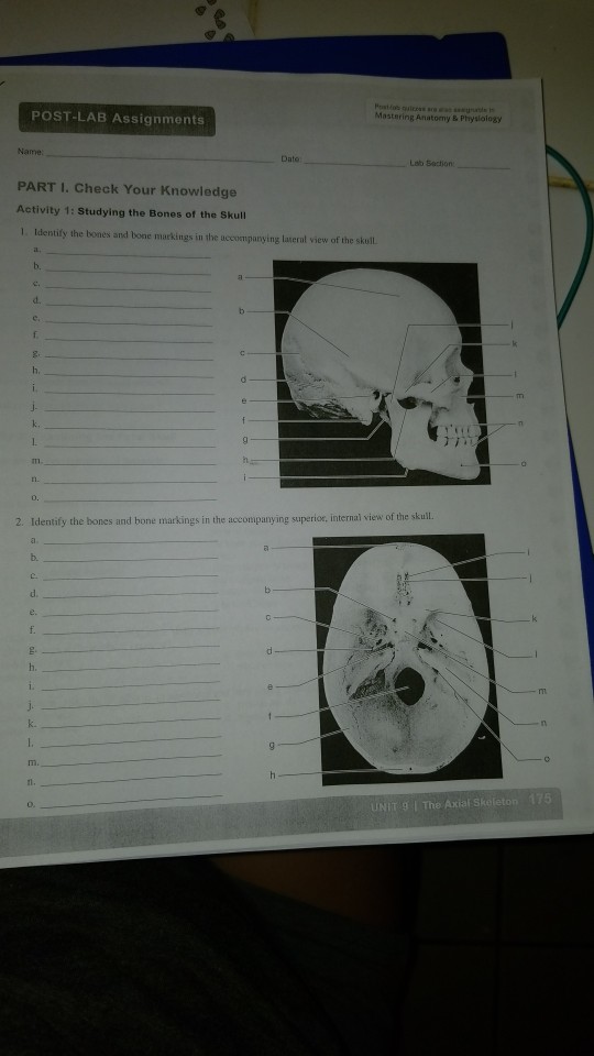 POST-LAB Assignments Mastaring Anatomy & Physiology | Chegg.com