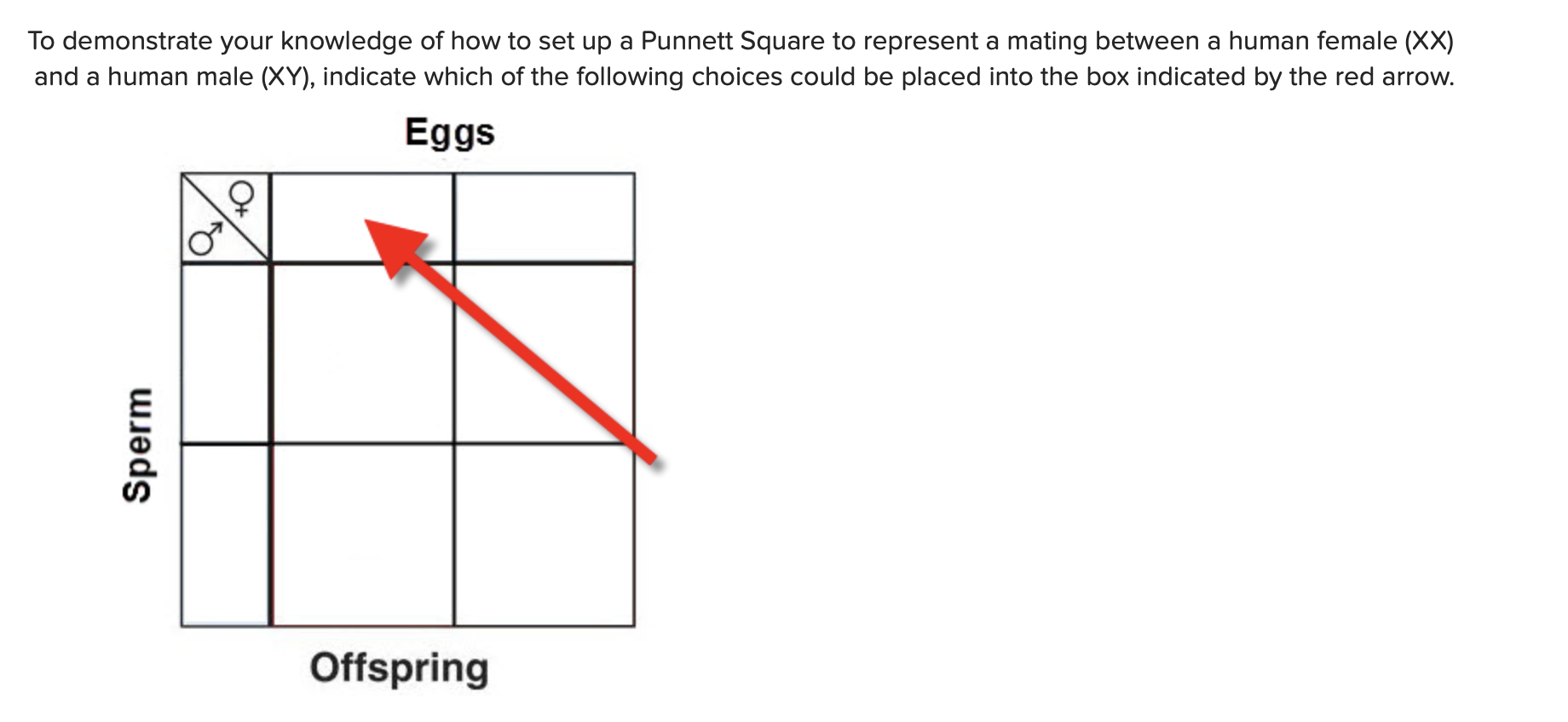 Solved To Demonstrate Your Knowledge Of How To Set Up A