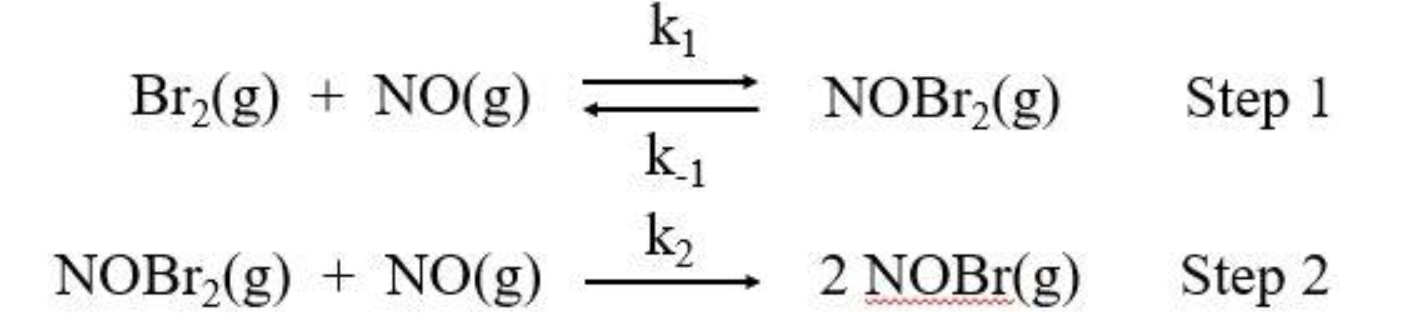 Solved ki Br2(g) + NO(g) NOBr2(g) Step 1 ki k NOBr2(g) + | Chegg.com