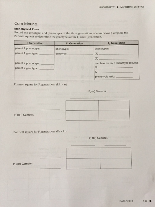 Solved LABORATORY 9 MENDELIAN GENETICS Corn Mounts | Chegg.com