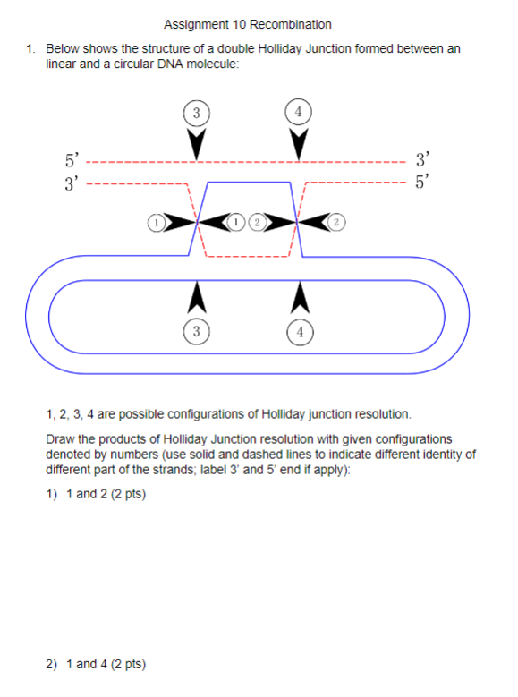 Solved Assignment 10 Recombination Below shows the structure | Chegg.com