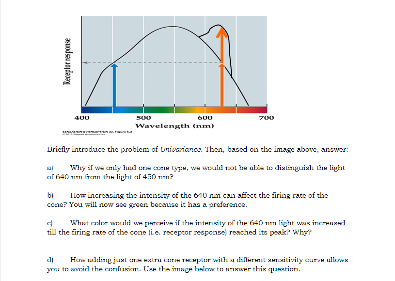 Solved 400 500 600 700 Wavelength (nm) Briefly introduce the | Chegg.com