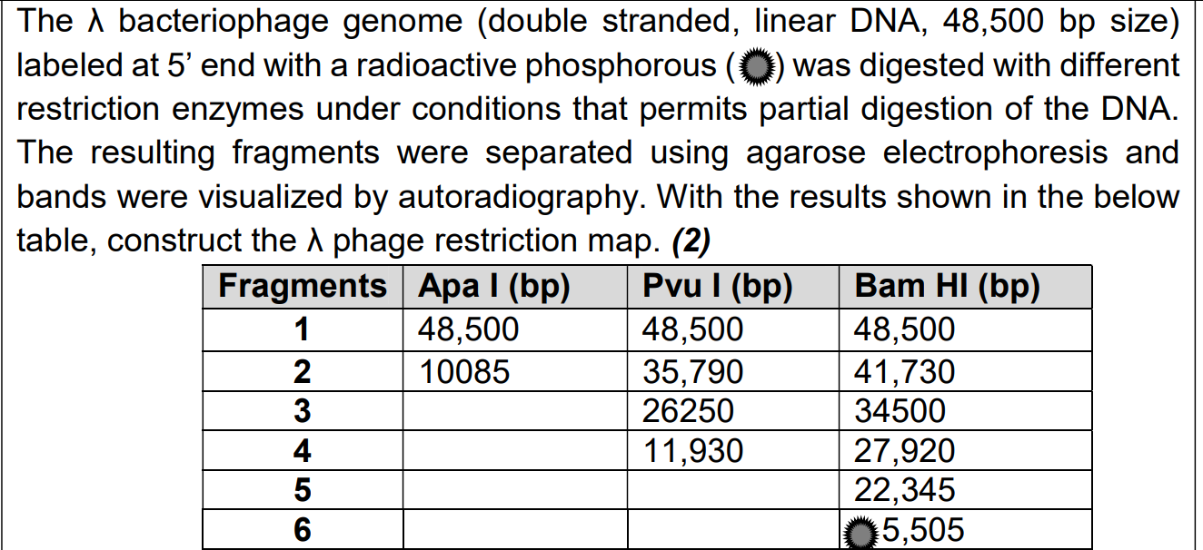 Solved The λ bacteriophage genome (double stranded, linear | Chegg.com