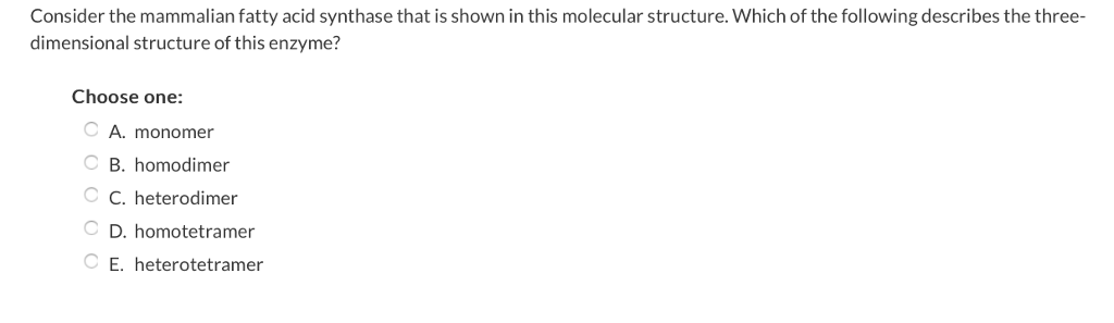 Solved Consider the mammalian fatty acid synthase that is | Chegg.com