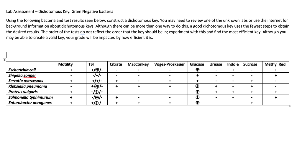 Lab Assessment - Dichotomous Key: Gram Negative | Chegg.com