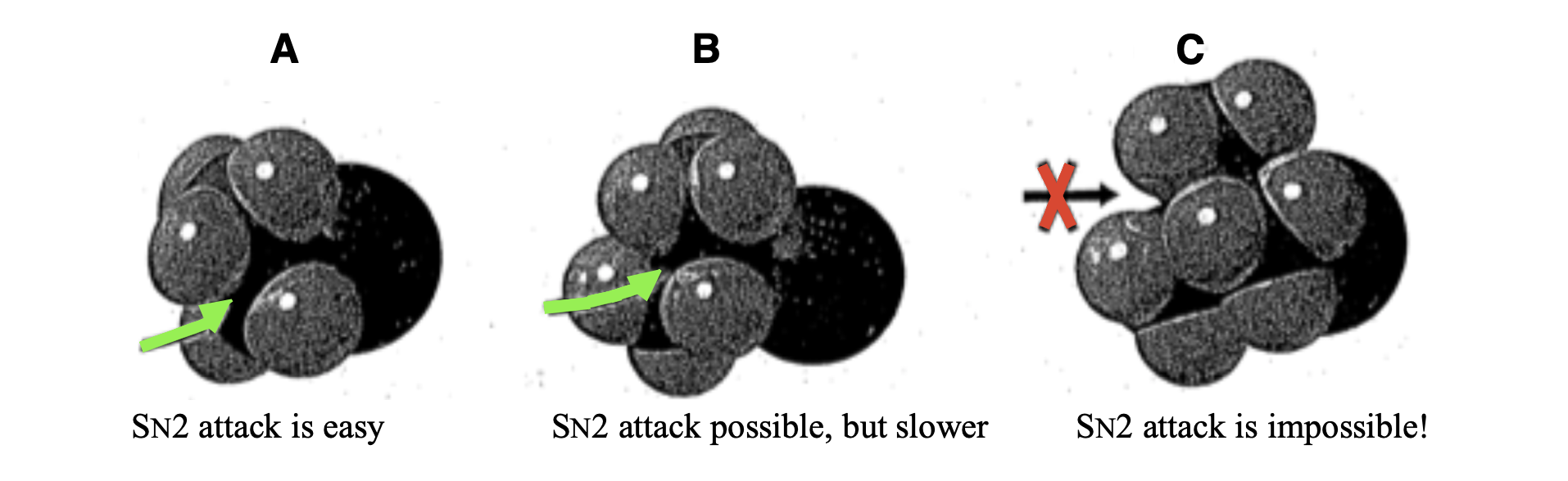 Solved 2) Space filling models for each of the three alkyl | Chegg.com