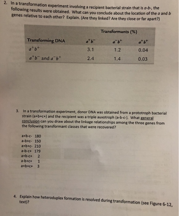 2. In a transformation experiment involving a | Chegg.com
