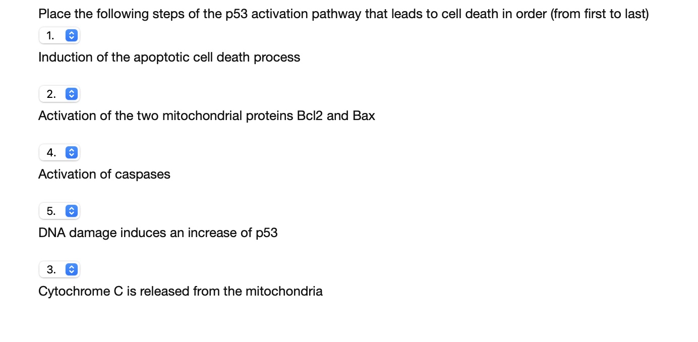 Solved Place the following steps of the p53 activation | Chegg.com