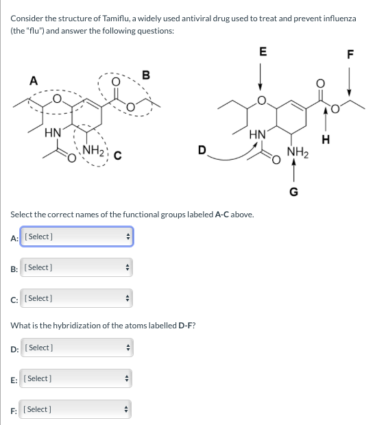 Solved Consider the structure of Tamiflu, a widely used | Chegg.com