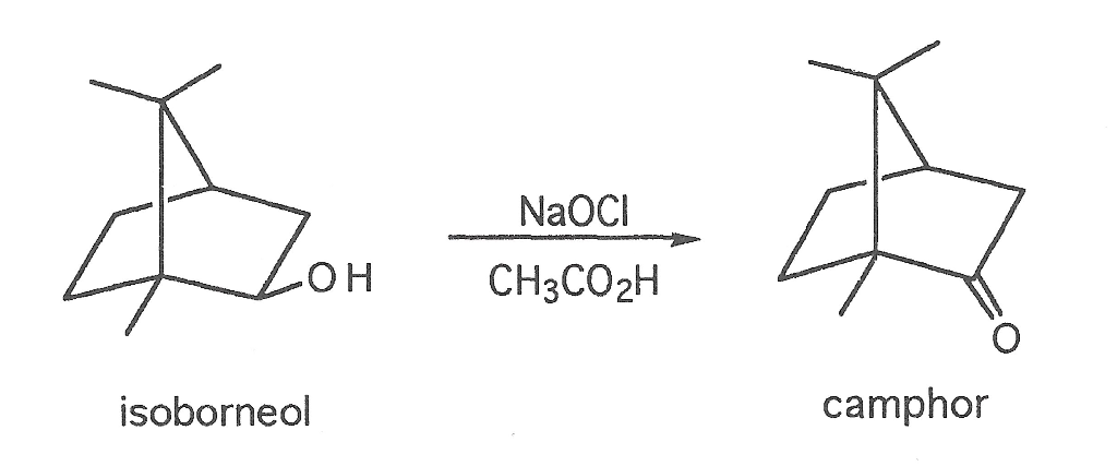 Solved 2. NaOCI CH3CO2H 本 isoborneol camphor | Chegg.com