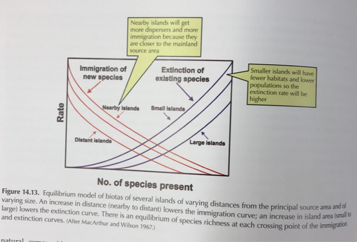 Solved The immigration and extinction curves in the | Chegg.com