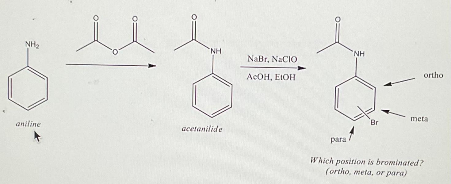 Solved 3. Why is sodium thiosulfate used at the end of the | Chegg.com