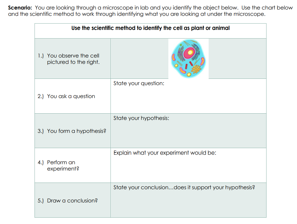 Solved Scenario: You are looking through a microscope in lab | Chegg.com
