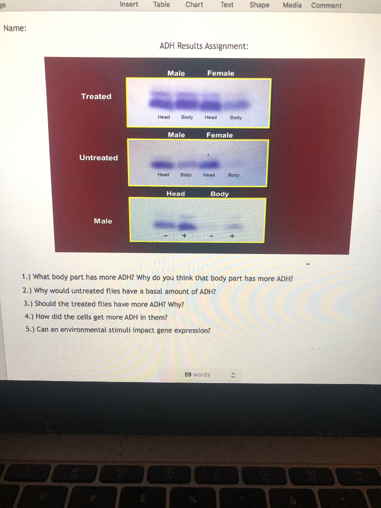 Solved Insert Table Chart Text Shape Media Comment Name: ADH | Chegg.com