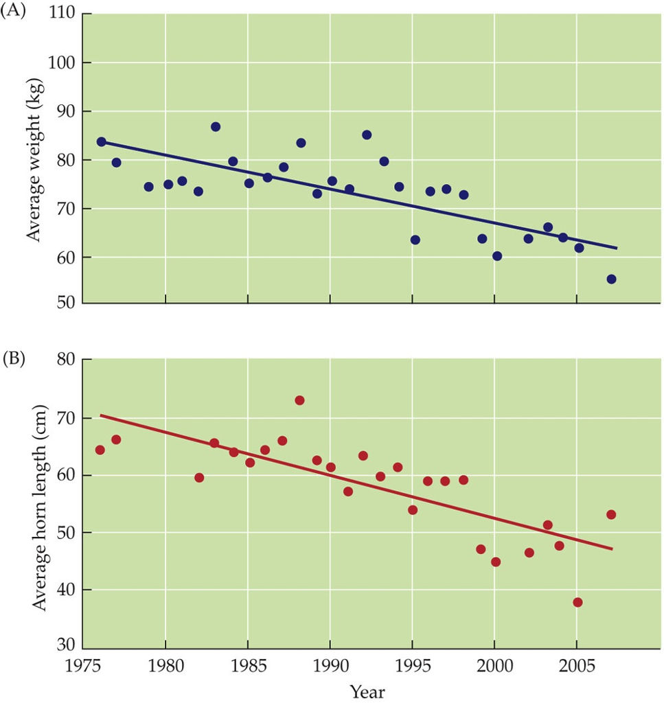 Solved the graphs below show the changes associated with the | Chegg.com