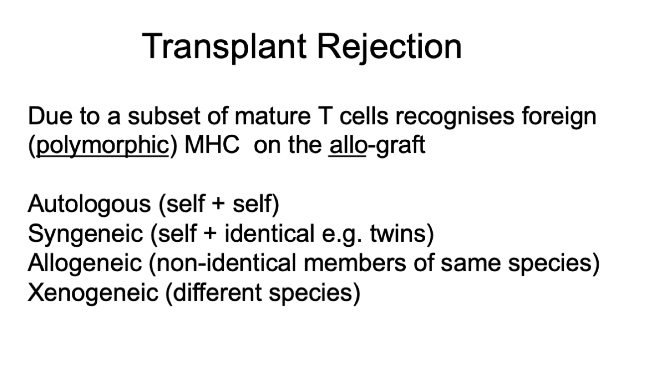 Solved Transplant rejection and MHC - MHC are the most | Chegg.com
