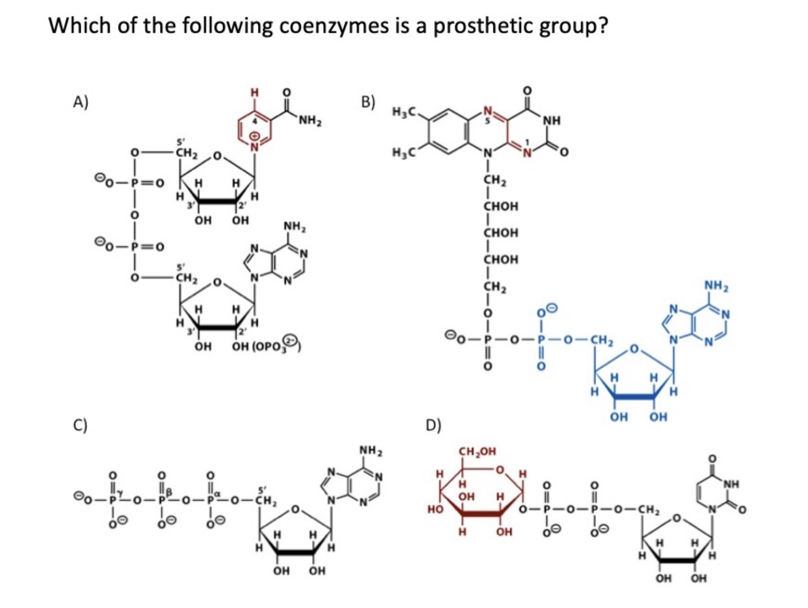 Solved Which of the following coenzymes is a prosthetic | Chegg.com