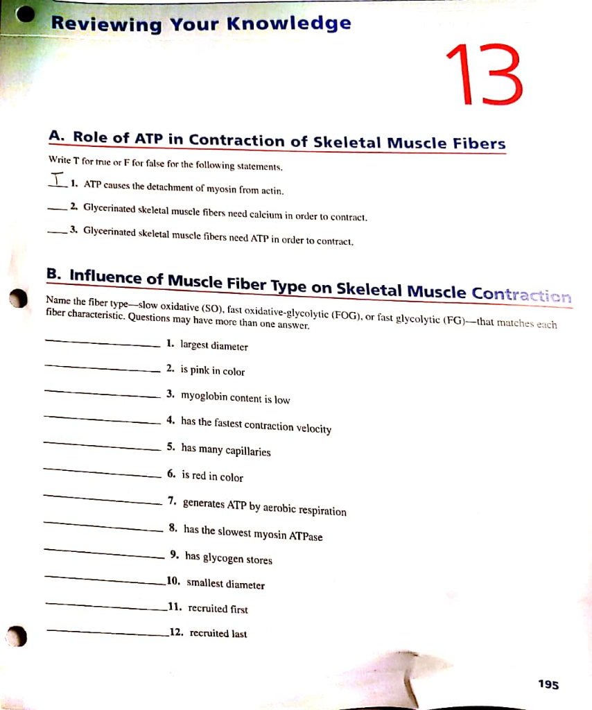 Solved Reviewing Your Knowledge A. Role of ATP in | Chegg.com