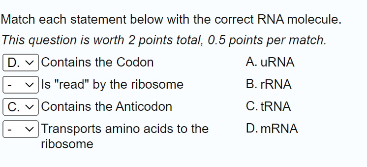 Solved Match each statement below with the correct RNA | Chegg.com