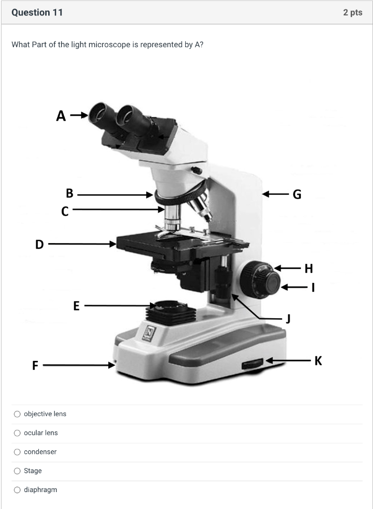 Solved What Part of the light microscope is represented by | Chegg.com