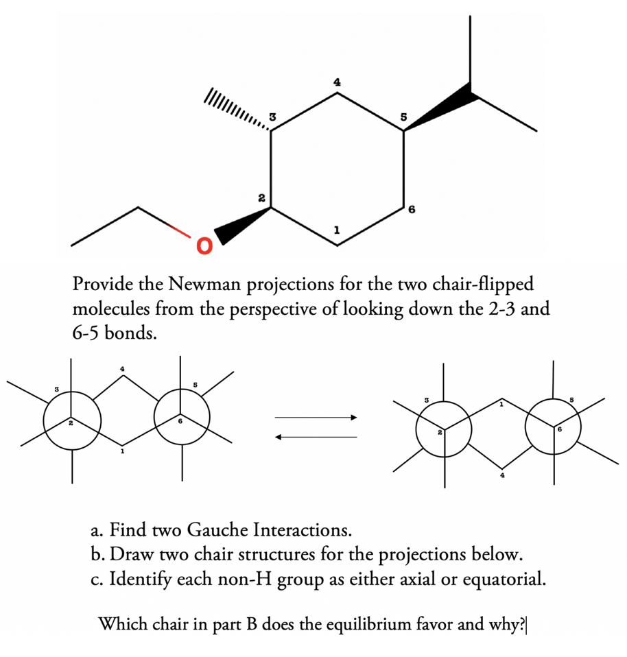 Solved 4 3 5 20 6 1 Provide the Newman projections for the | Chegg.com