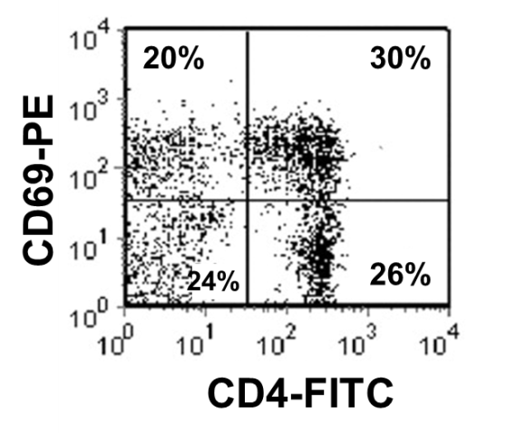 Solved Below is a dot plot of lymphocytes stained with CD69 | Chegg.com