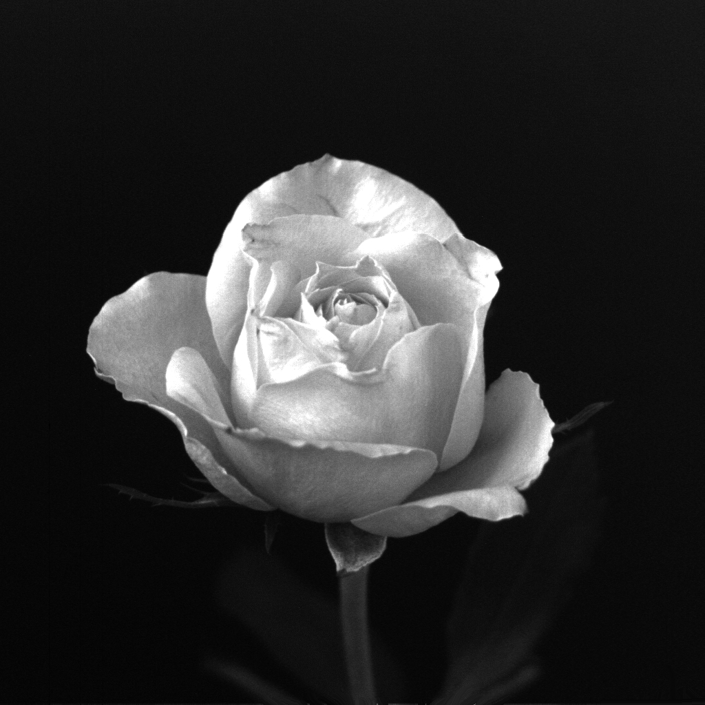 Solved Using MATLAB (a) Write a computer program capable of | Chegg.com