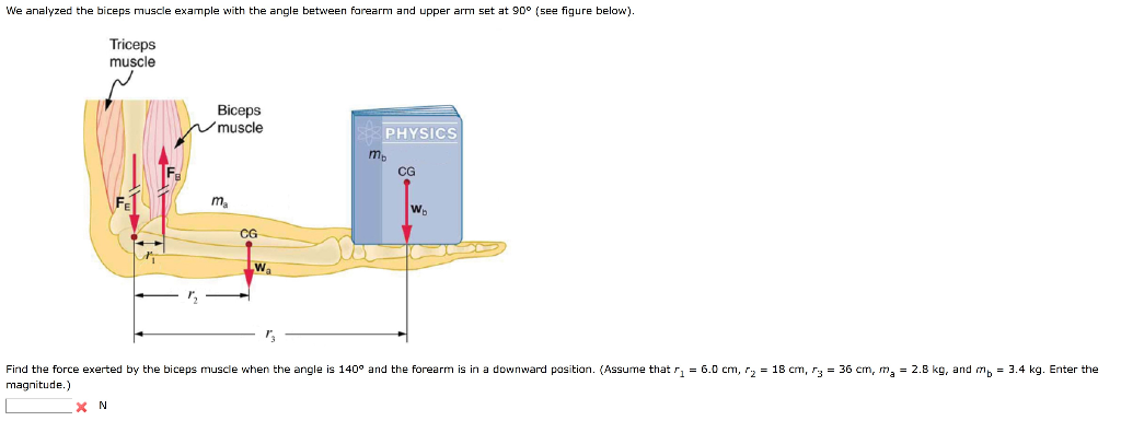 Solved We analyzed the biceps muscle example with the angle | Chegg.com