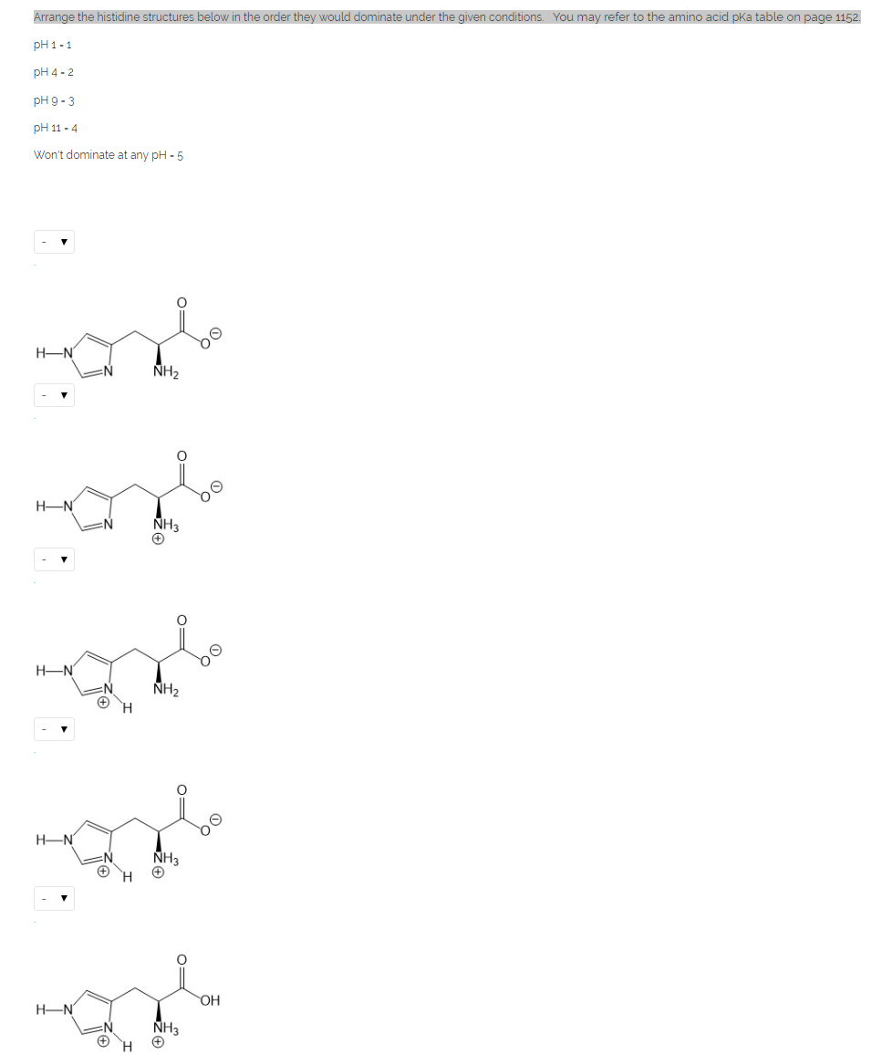 Solved Arrange the histidine structures below in the order | Chegg.com
