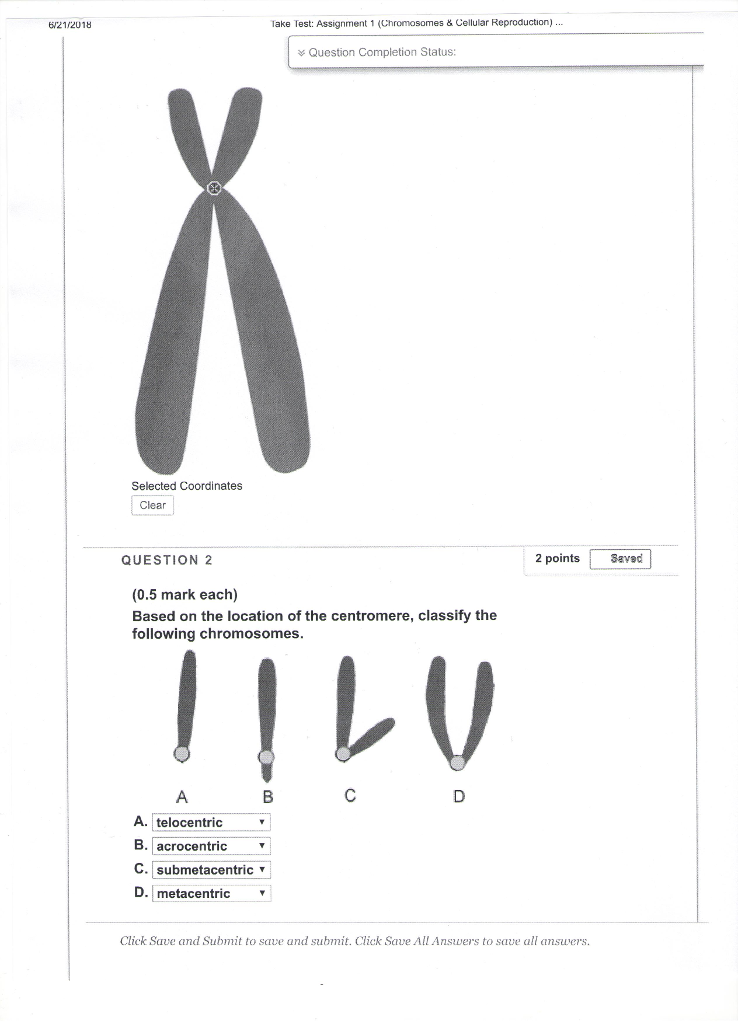 Solved 6/21/2018 Take Test: Assignment 1 (Chromosomes & | Chegg.com