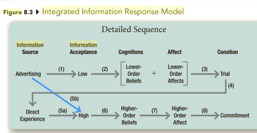 Solved Interview two other students on a recent purchase of | Chegg.com