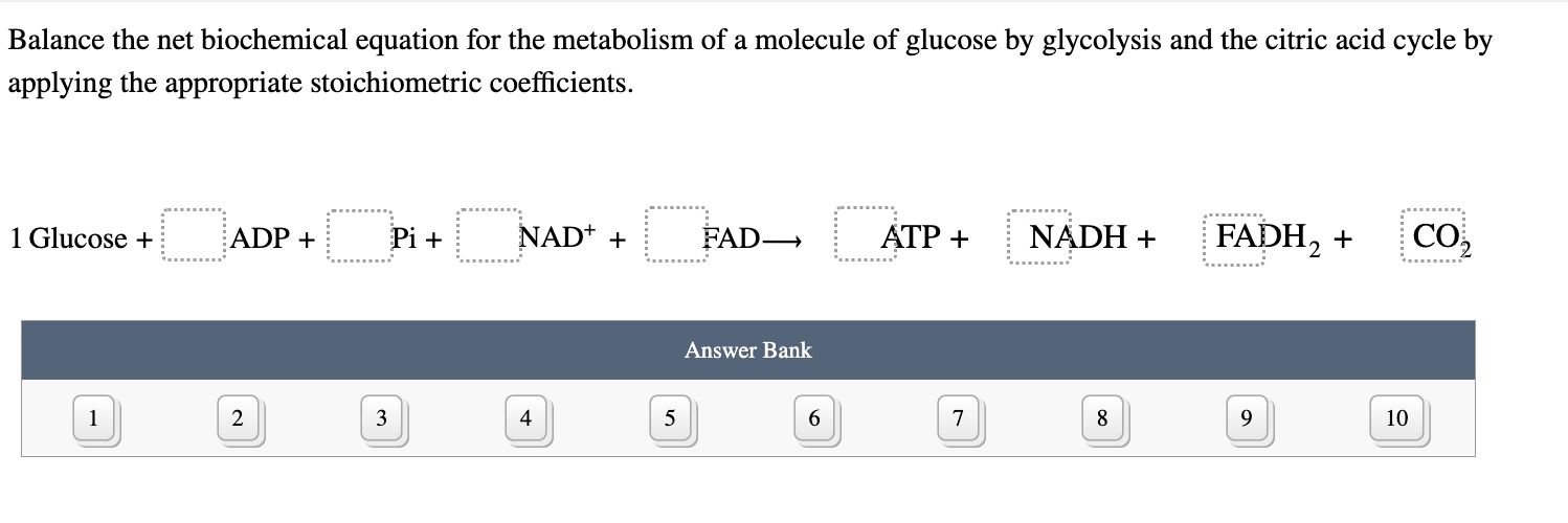 Solved Balance the net biochemical equation for the | Chegg.com