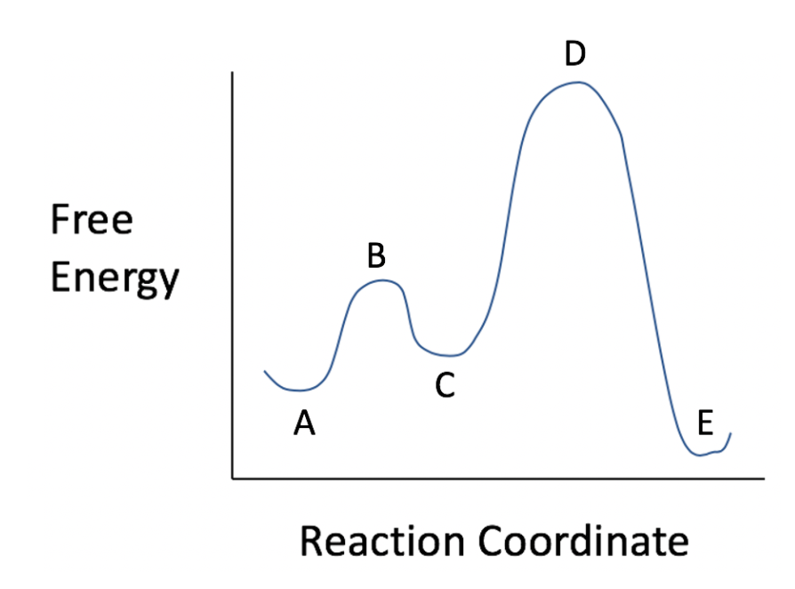 Solved Given the reaction energy diagram below, match free | Chegg.com
