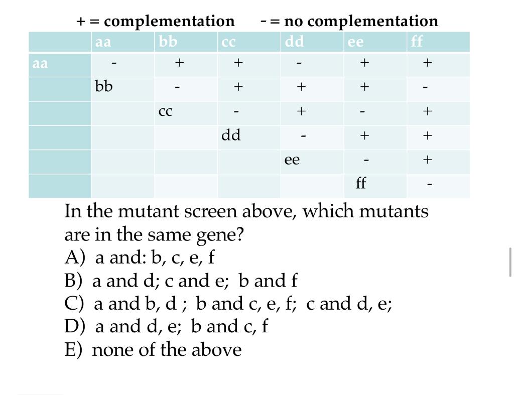 Solved + = - complementation bb -= no complementation dd ff | Chegg.com