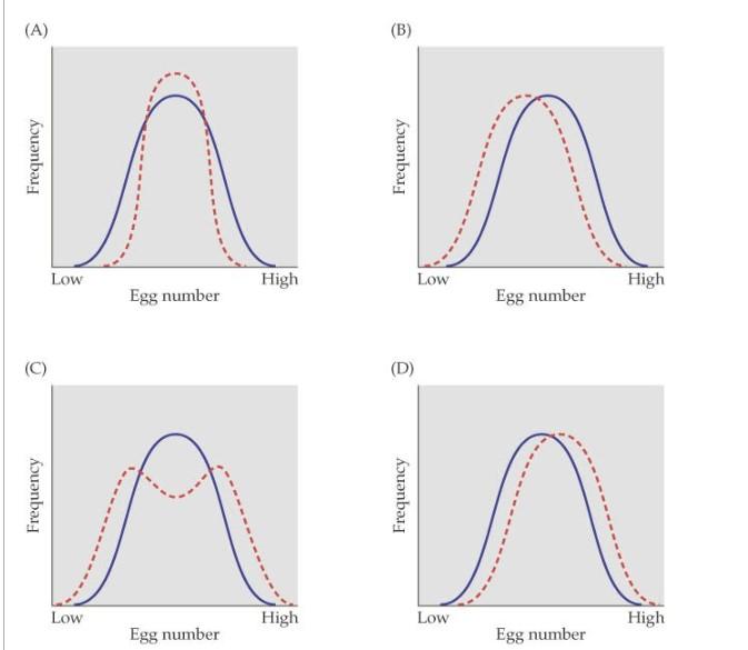 Solved The figure shows four cases of selection on egg | Chegg.com