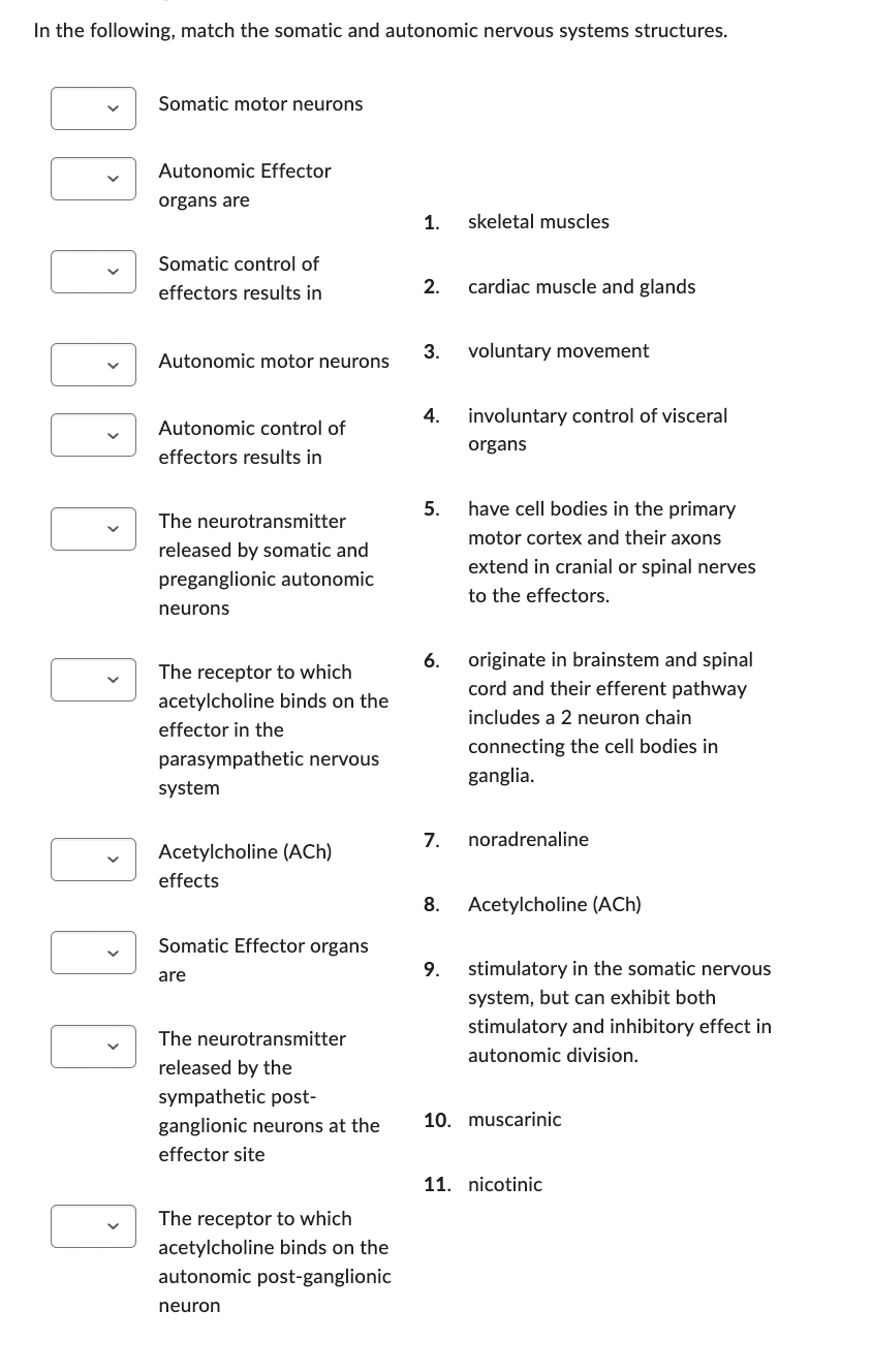 Solved In the following, match the somatic and autonomic | Chegg.com