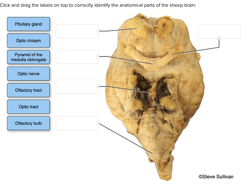 Solved Click and drag the labels on top to correctly | Chegg.com