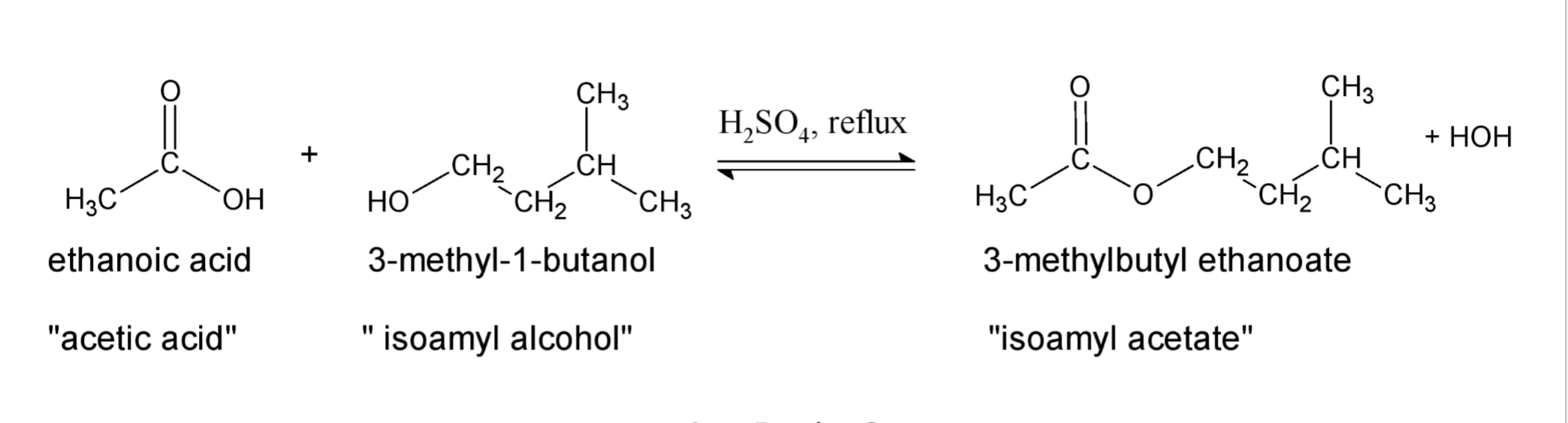 Isoamyl Alcohol And Acetic Acid