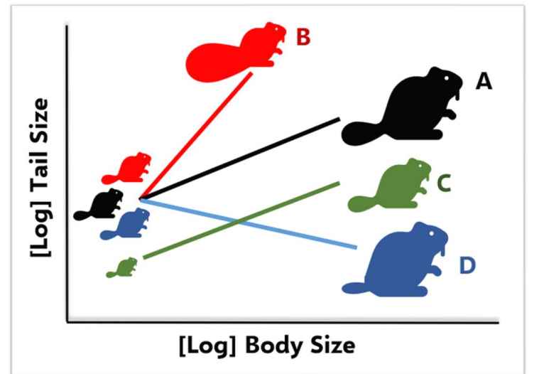 Solved From everything discussed in class and labs, and | Chegg.com