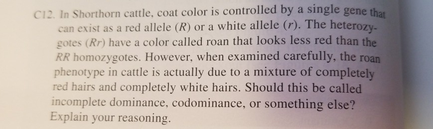 Solved C12. In Shorthorn cattle, coat color is controlled by | Chegg.com