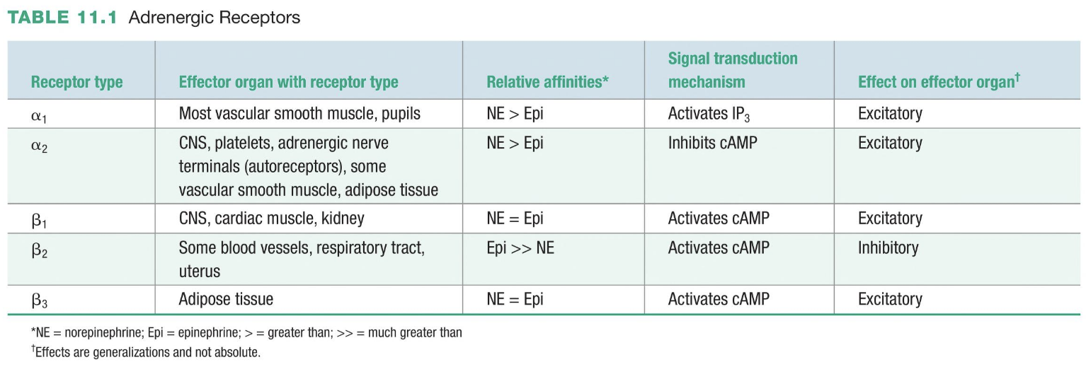 Solved In this table, how is it possible for a2 adrenergic | Chegg.com