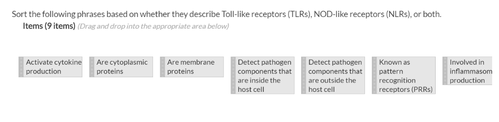 Solved Sort the following phrases based on whether they | Chegg.com