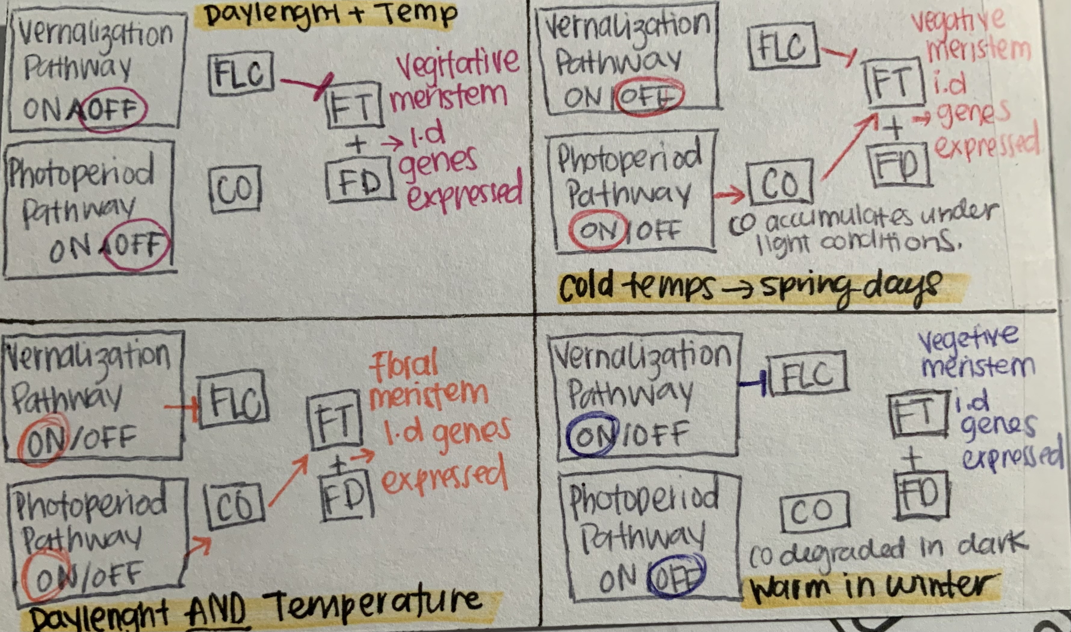 Solved From the following diagrams, identify why would an | Chegg.com