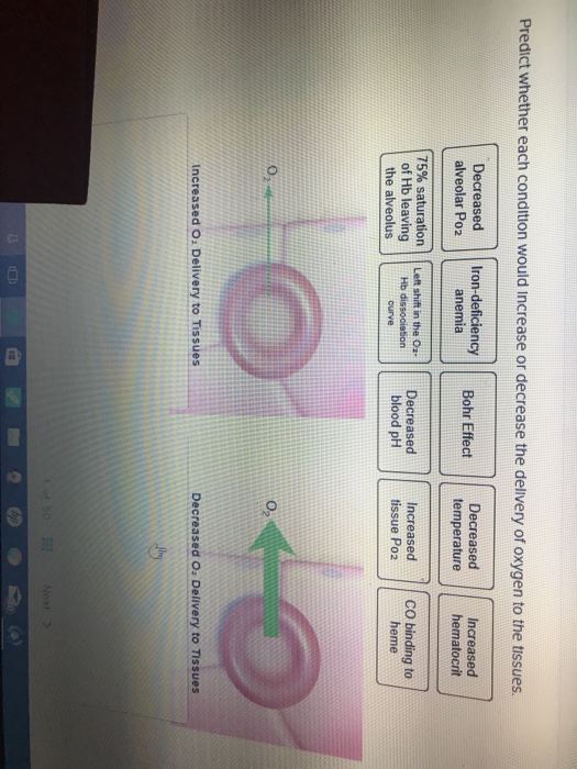 Anatomy And Physiology Archive | October 20, 2017 | Chegg.com