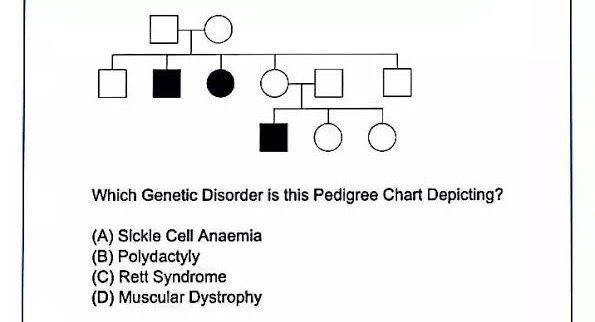 Solved Which Genetic Disorder is this Pedigree Chart | Chegg.com