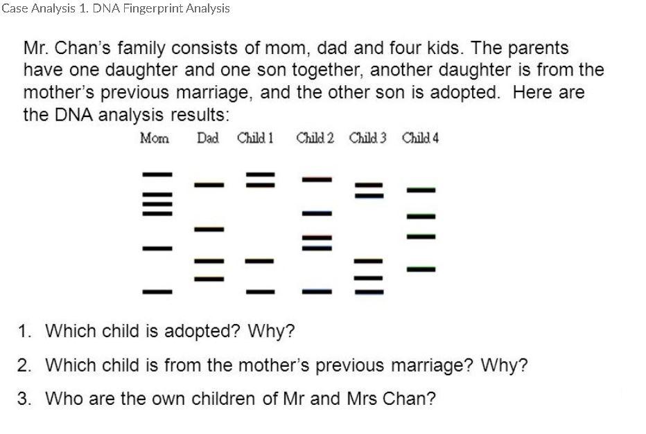 Solved Case Analysis 1. DNA Fingerprint Analysis Mr. Chan's | Chegg.com