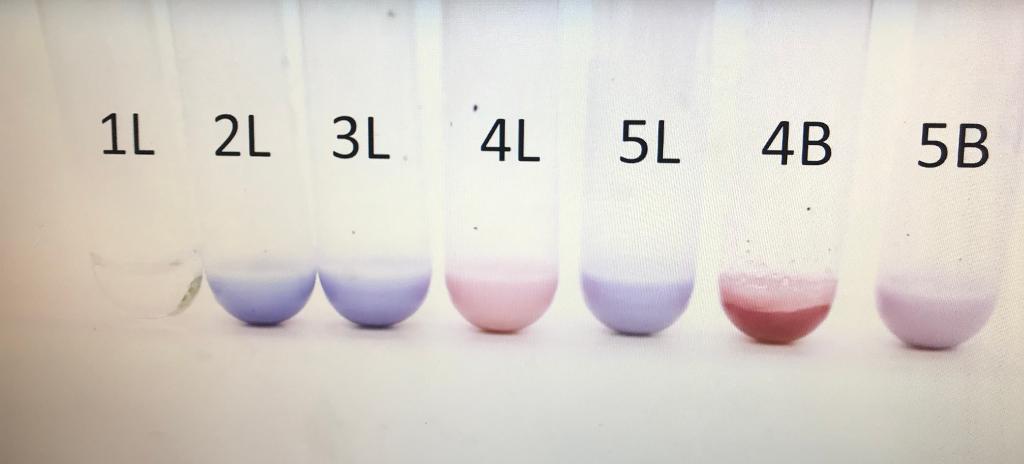 Enzymatic Hydrolysis of Esters Lab I just need help | Chegg.com