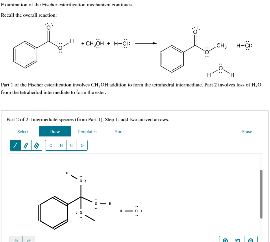 Solved Examination of the Fischer esterification mechanism | Chegg.com