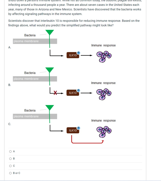 Solved In the 14th century, the bubonic plague killed more | Chegg.com