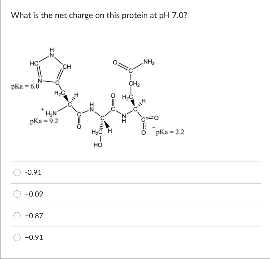 Solved What is the net charge on this protein at pH 7.0? NH2 | Chegg.com
